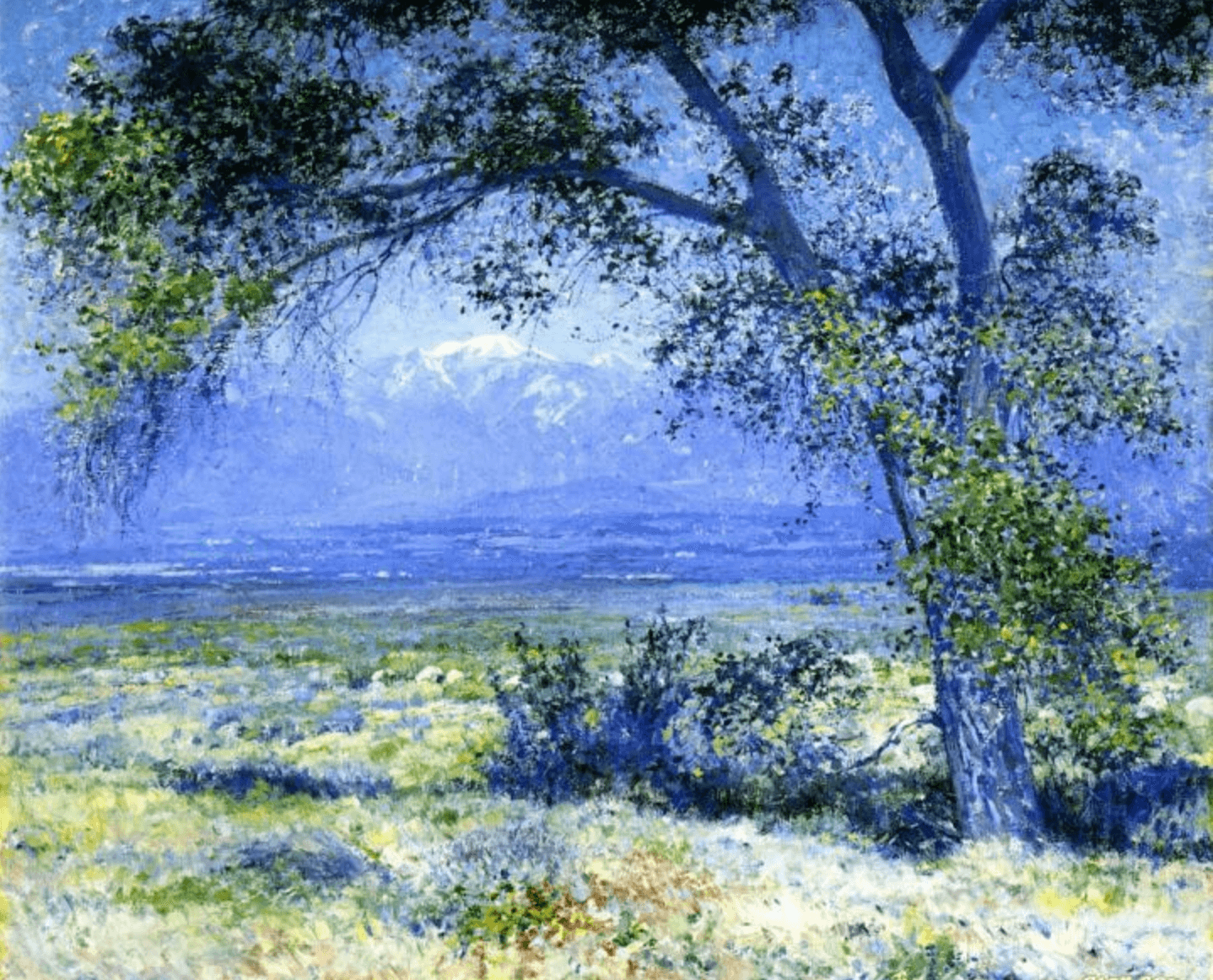 Newsletter 2019 December - Phil Starke Fine Art